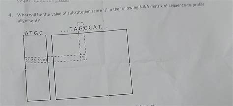 solved what will be the value of substitution score s in