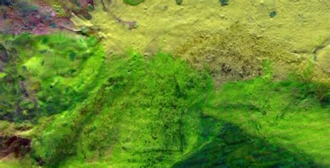 Premium Photo A Green Surface Of The Mars Surface Shows The Water And