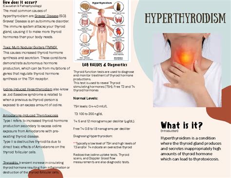 Hyperthyroidism Details On What The Disease Process Contains What