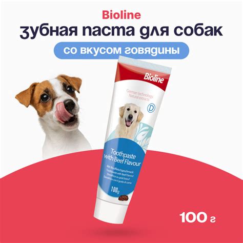 Зубная паста для собак со вкусом говядины Bioline 100g купить с