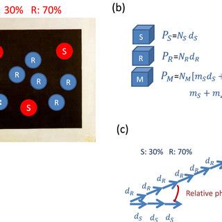 Cartoon Illustrating Importance Of The Harmonic Phase In Measuring Download Scientific Diagram