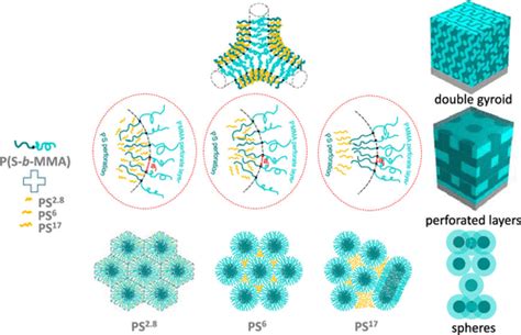 Chain Length Effects Of Added Homopolymers On The Phase Behavior In Blend Films Of A Symmetric