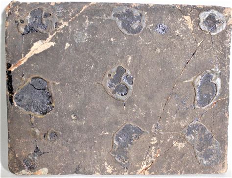 Four Antique Italian Extreme Erotica Hand Painted Pottery Tiles Of Monks And Nuns For Sale At