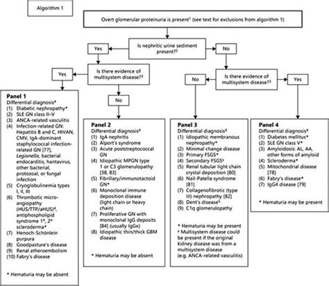 Differential Diagnosis Of Glomerular Disease A Systematic And Inclusive Approach American