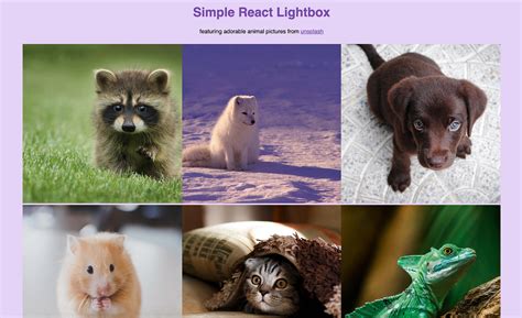 Css Transforms And Transitions A Beginners Guide By Alexandra