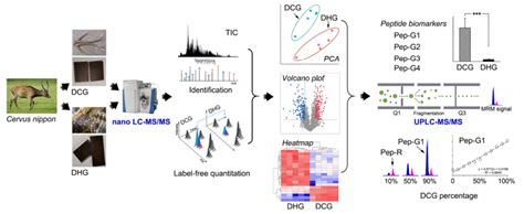Peptidomics Enriching Proteomics Research Creative Proteomics Blog