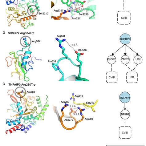 Overview Of Analysis Strategy And Distribution Of Variant Type And Download Scientific Diagram
