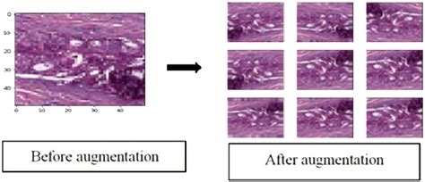 Figure 1 From Integration Of Convolutional Neural Network And Extreme Gradient Boosting For