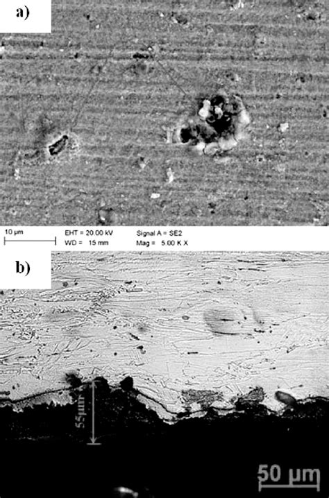 a sem micrograph of the surface and b light micrograph of the