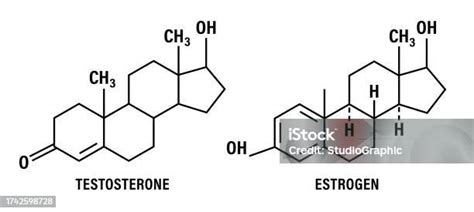 Structural Chemical Formulas Of Testosterone Molecule Molecular