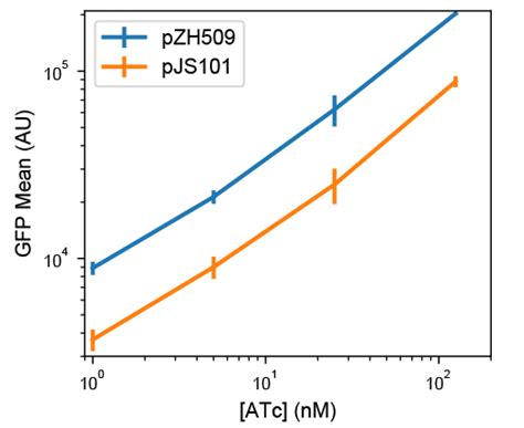 Influence Of Plasmid Backbone On Induction Of Tetr Expression System