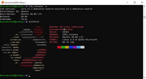Install Windows Subsystem For Linux Wsl On Windows 10 How To Install