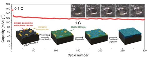 Improving The Durability Of Lithium Metal Batteries Using Carbon Fiber