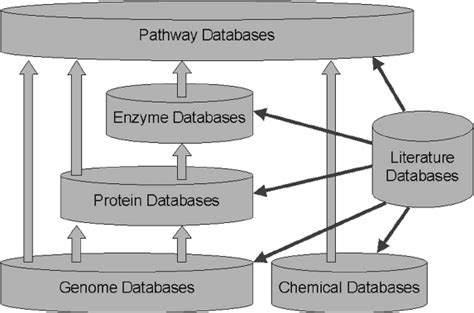 The Connectivity Of The Main Database Types Download Scientific Diagram