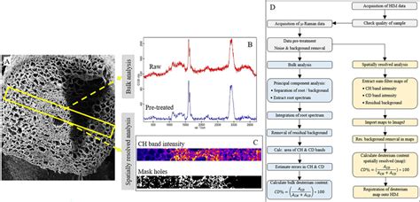Data Acquisition And Processing Steps A Root Cross Section Imaged By Download Scientific