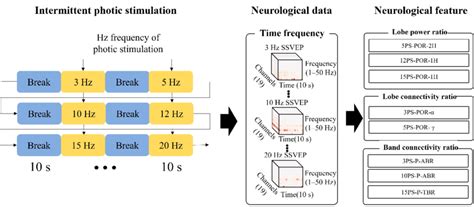 eight neurological features collected by eeg ssvep recording with