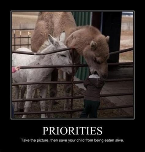 Priorities Meme Guy