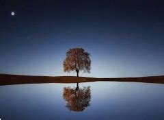 What Is Horizontal Line Definition Equation Examples Facts