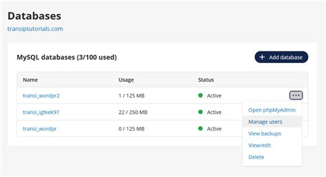 Creating And Managing A Database Transip
