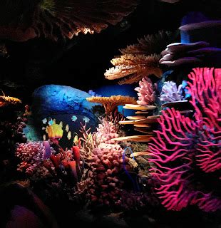 Disney At Heart Photo Of The Week