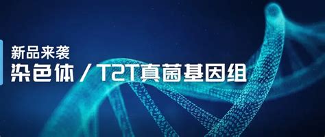 新品来袭 染色体 T2t水平真菌基因组组装，与您一起探索微观世界 知乎