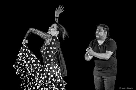 Stage Pour Debutants Avec Maria Perez Solea