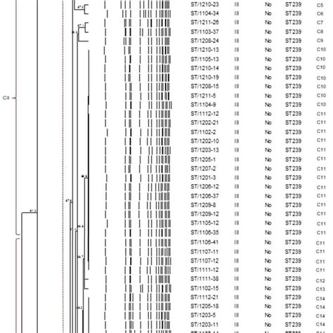 Dendrogram Of Mrsa Pfge Patterns Generated By Upgma Clustering Method