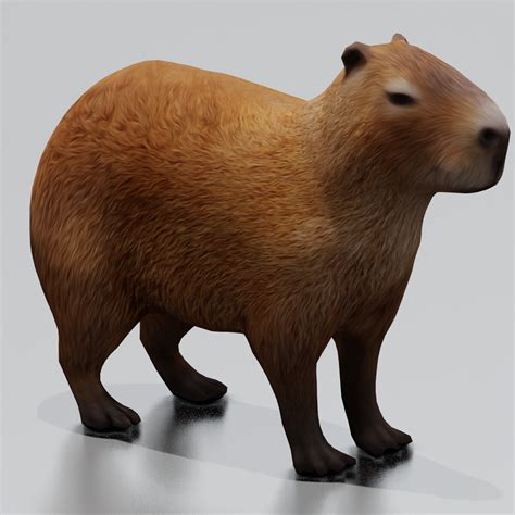Artstation Capybara 3d Model Game Assets