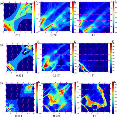 The Evolution Of Magnetic Domain Structure And Temperature Field