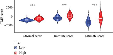 Estimate Mcp Counter Ssgsea And Cibersort Algorithms To Explore Download Scientific Diagram