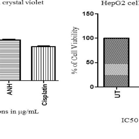 Cell Viability Assessment Through Crystal Violet Staining A