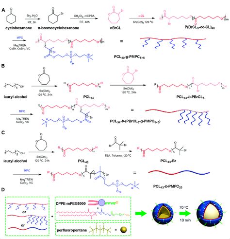 Scheme 1 Schematic Illustration Of The Preparation And Echogenic Download Scientific Diagram