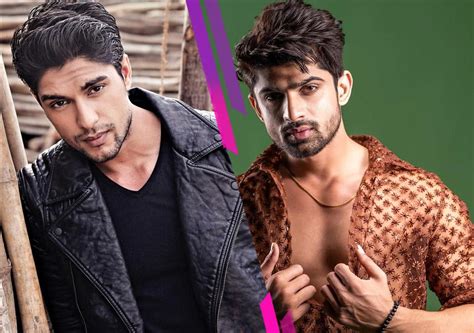 Naagin 7 Ankit Gupta Abhishek Kumar And Other Handsome Hunks Who Are
