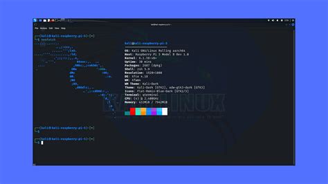 running kali linux on raspberry pi 4 online