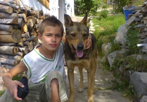 Luke Rowles 15 Letni Chłopiec Który Uratował Lisa