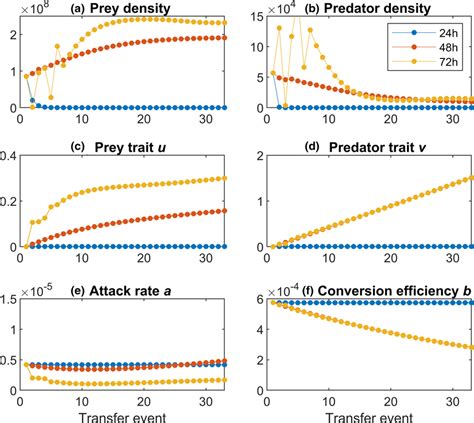 Effect Of Transfer Interval On Predator‐prey Dynamics The Transfer Download Scientific Diagram