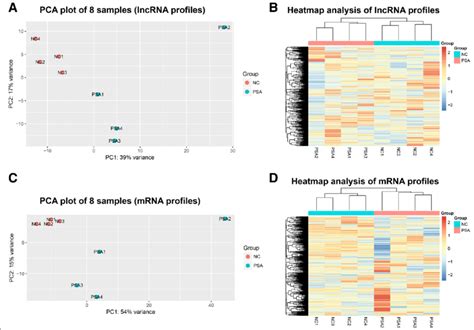 Pca Plot And Heatmap Analysis Pca Plot Showed A Clear Separation Download Scientific Diagram