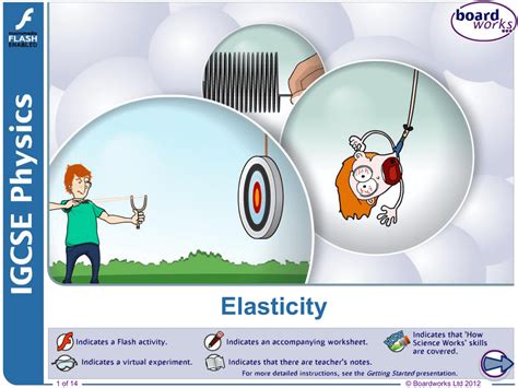 Elasticity