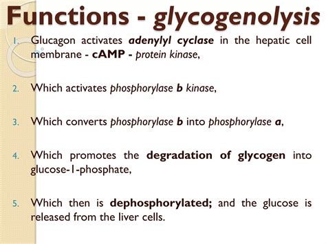 Insulin Glucagon And Dm Pptx