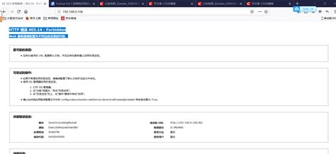 Iis 40314 Forbidden Error Solution Programmer Sought