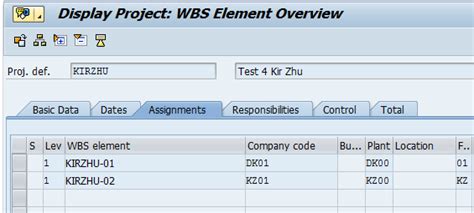 Solved Several Wbs With Different Company Codes In One Pr Sap