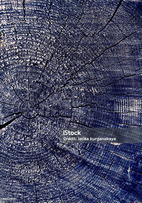 오래 된 나무의 단면입니다 선택한 톤 색상으로 나무 판자 질감 벽의 배경 밝은 텍스처와 오래 된 나무 벽의 추상적인 배경 페인트 자외선 0명에 대한 스톡 사진 및 기타