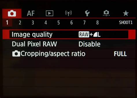 Canon EOS R Professional Setup And Manual