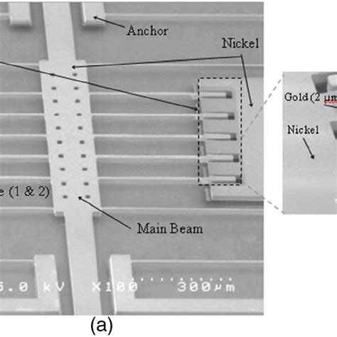 Sem Picture Of The Contact Surface Of The Mems Relay A Contact Finger