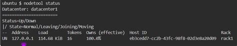 Cassandra Nodetool By Examples