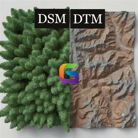 What Is A Digital Surface Model Gis Services By Geowgs84