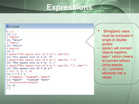 Csci N207 Data Analysis Using Spreadsheet Ppt Download