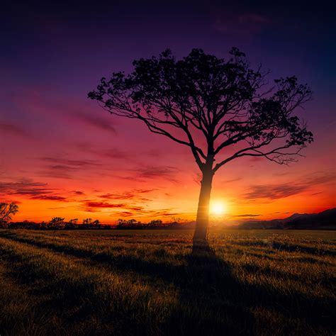 Sunset Wallpaper 4k Orange Sky Landscape Purple
