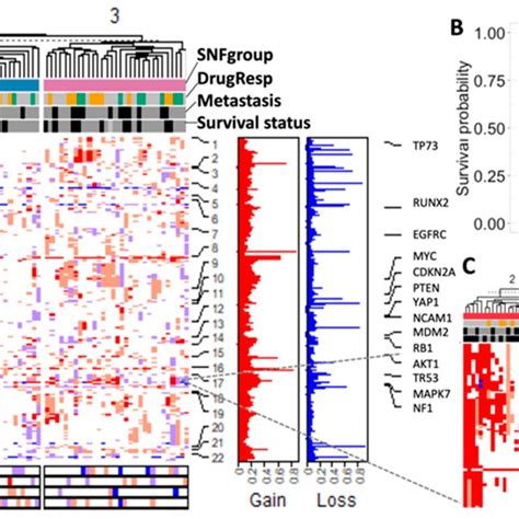 A Pearsons Correlation Between Gene Expression And Scna For
