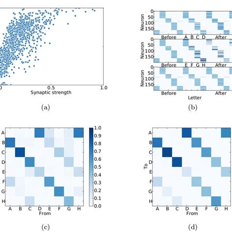 Network Analysis For The Sequence Learning Task A The Conditional Download Scientific